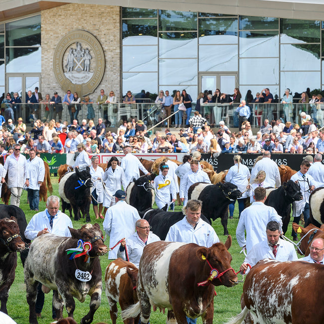 Royal Highland Centre – Tynecastle Park Hotel